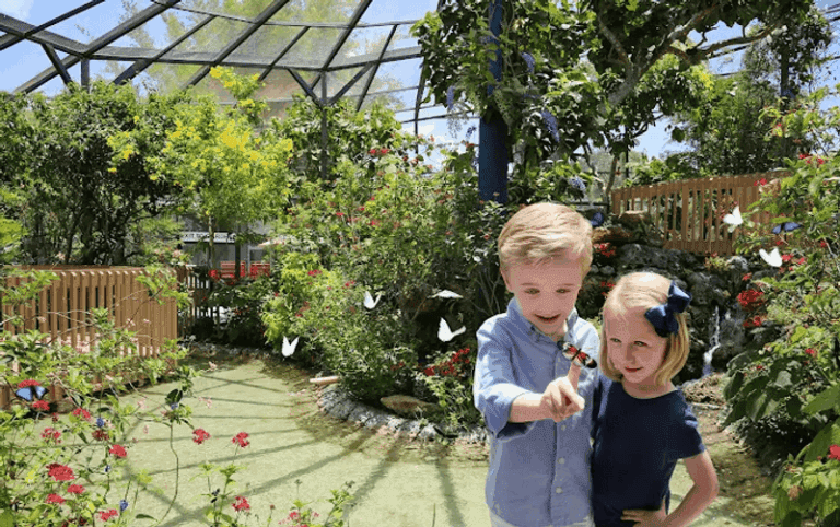 The World's Largest Butterfly Park Is This 10-Acre Conservatory in Florida
