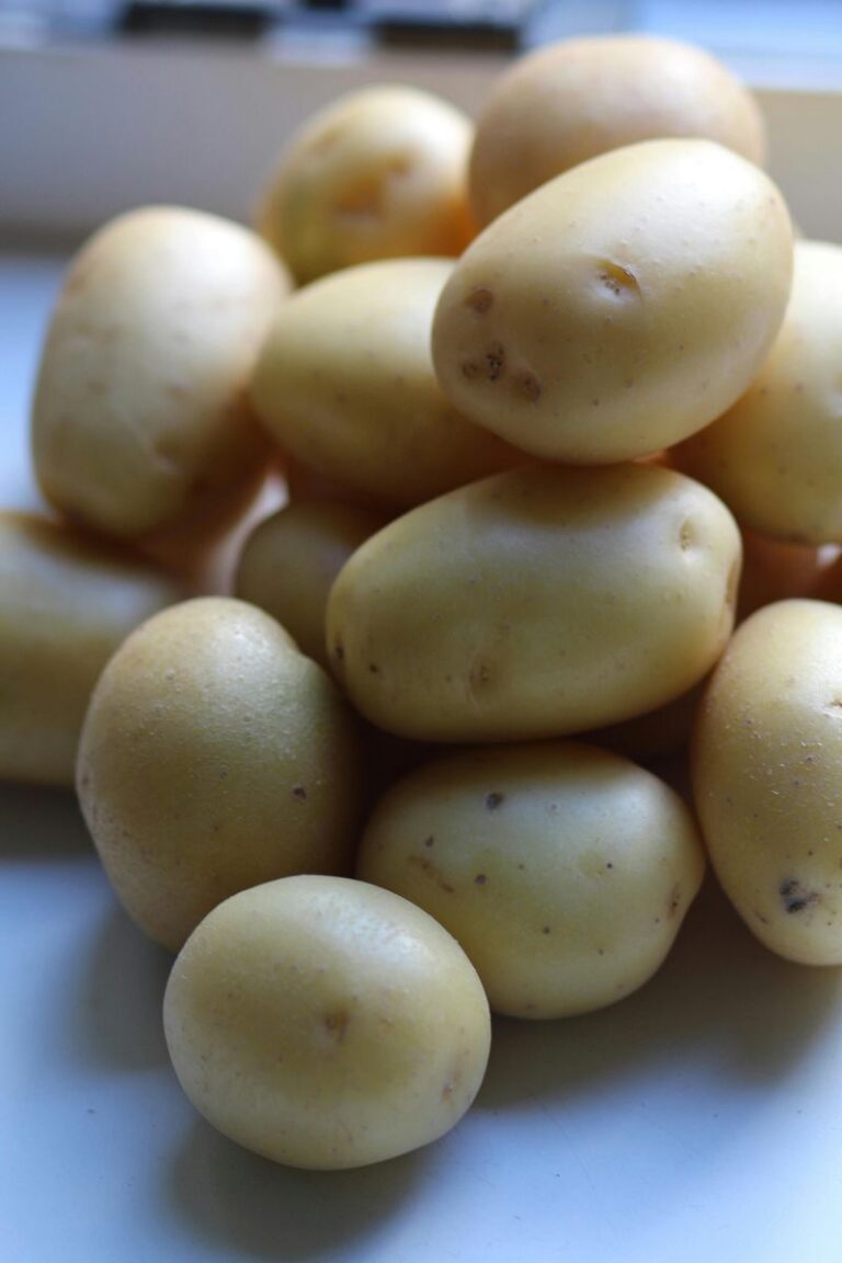 20 Budget Friendly Foods People Over 40 Still Rely On