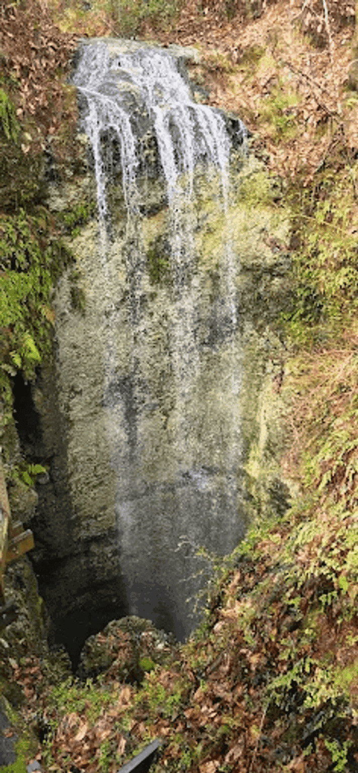 A stunning 73-foot waterfall in Florida that deserves to be seen