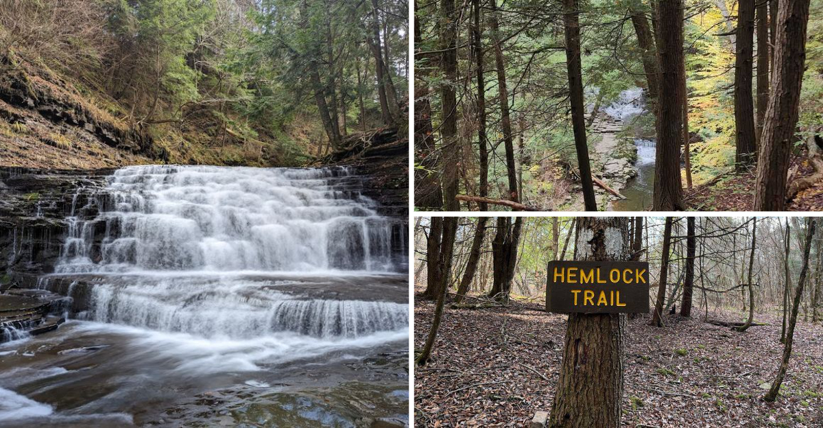 This gorgeous hidden Pennsylvania state park is so overlooked, it ...