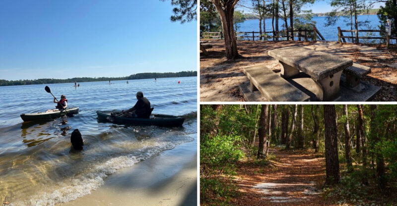 A Peaceful Waterfront Picnic Awaits At This Hidden Gem Inside A Florida ...