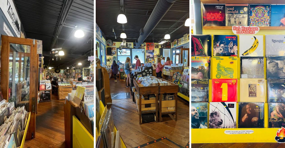 Browse This Unique South Carolina Record Store For Rare Vinyl And ...