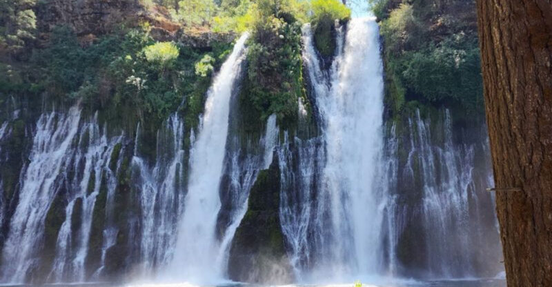 One Trip To This Otherworldly California State Park And You'll Feel ...