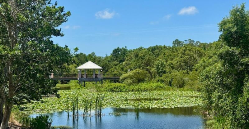 This Free Florida Attraction Is One Of The State's Most Rewarding ...