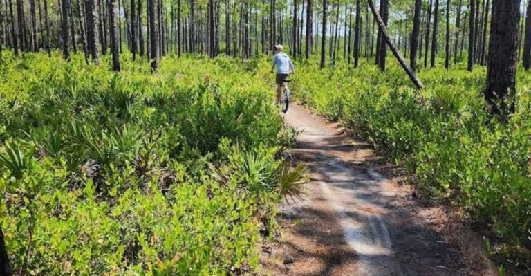 This Scenic Florida Bike Trail Combines Coastal Beauty With Hidden ...