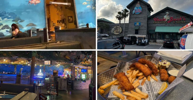 This Underwater-Themed Florida Restaurant Is The Kind Of Place You'll ...