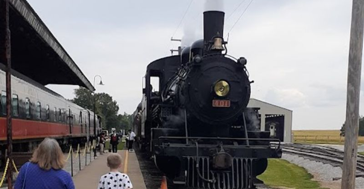 This charming Illinois train ride looks like something straight out of ...