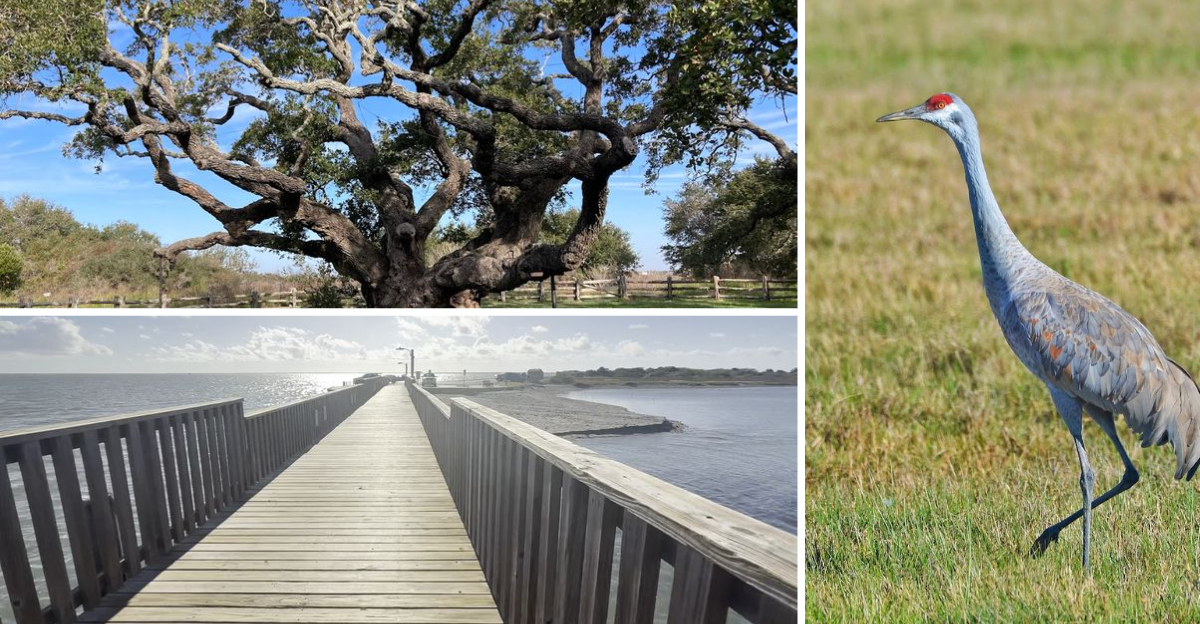 This gorgeous Texas state park hides one of the state's most ...
